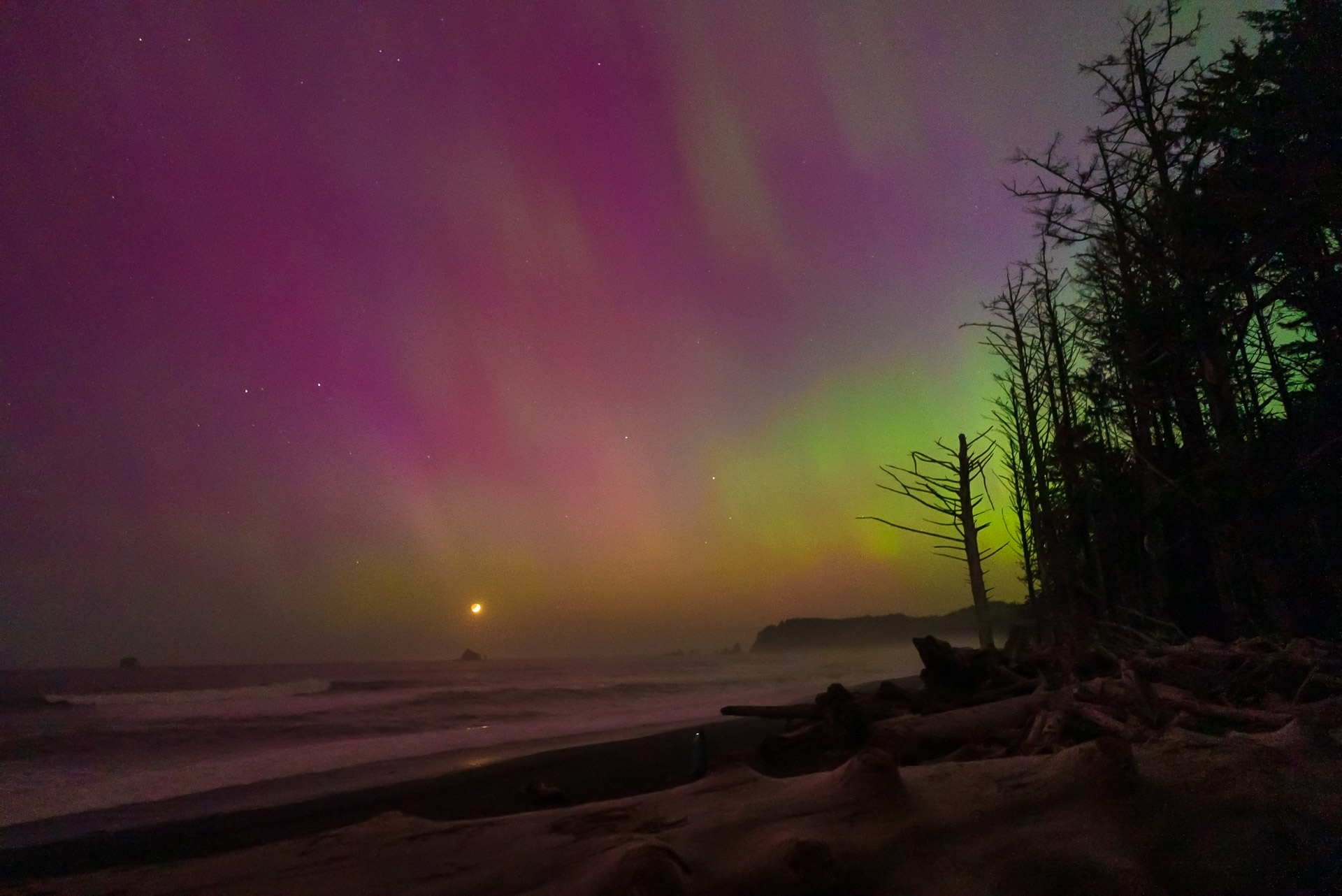 Capturing the Northern Lights: A Guide to Photographing the Aurora Borealis - The Roaming Cat